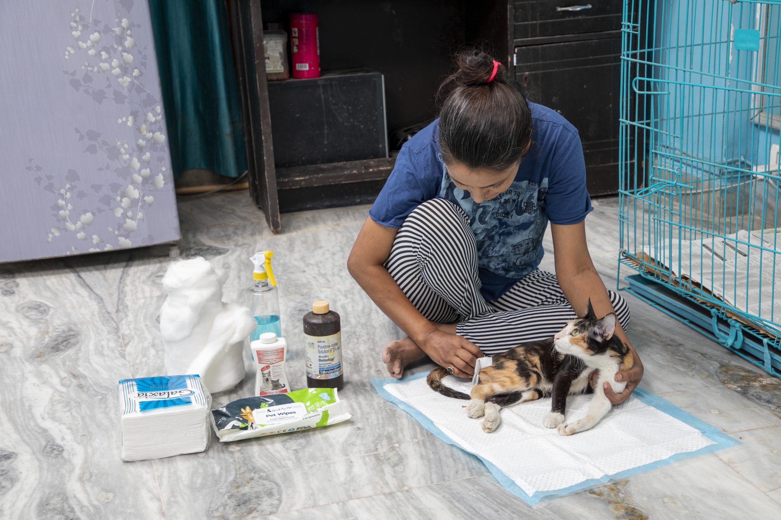 Paw Saviour Foundation